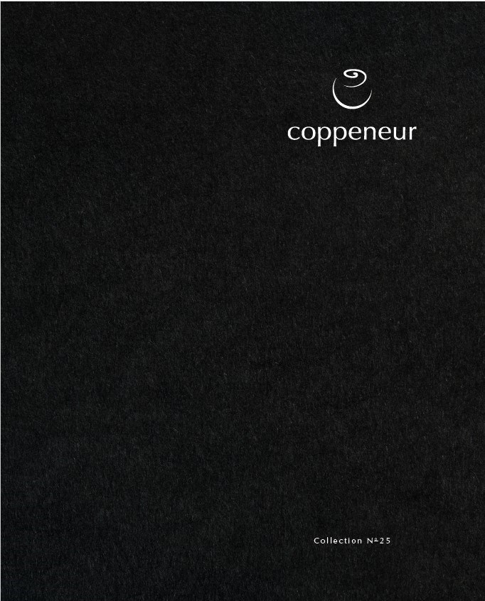 b2b.coppeneur.de